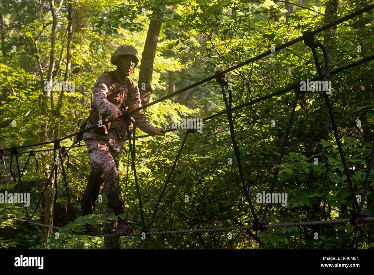 A candidate with the Officer Candidates School (OCS) walks a rope ...