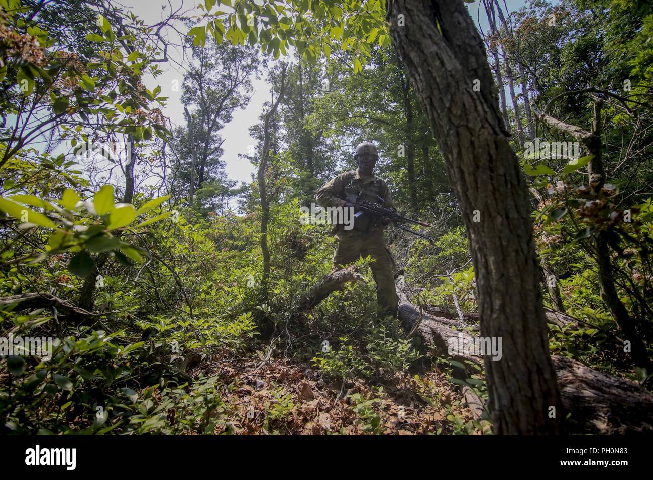 102nd cavalry regiment hi-res stock photography and images - Alamy