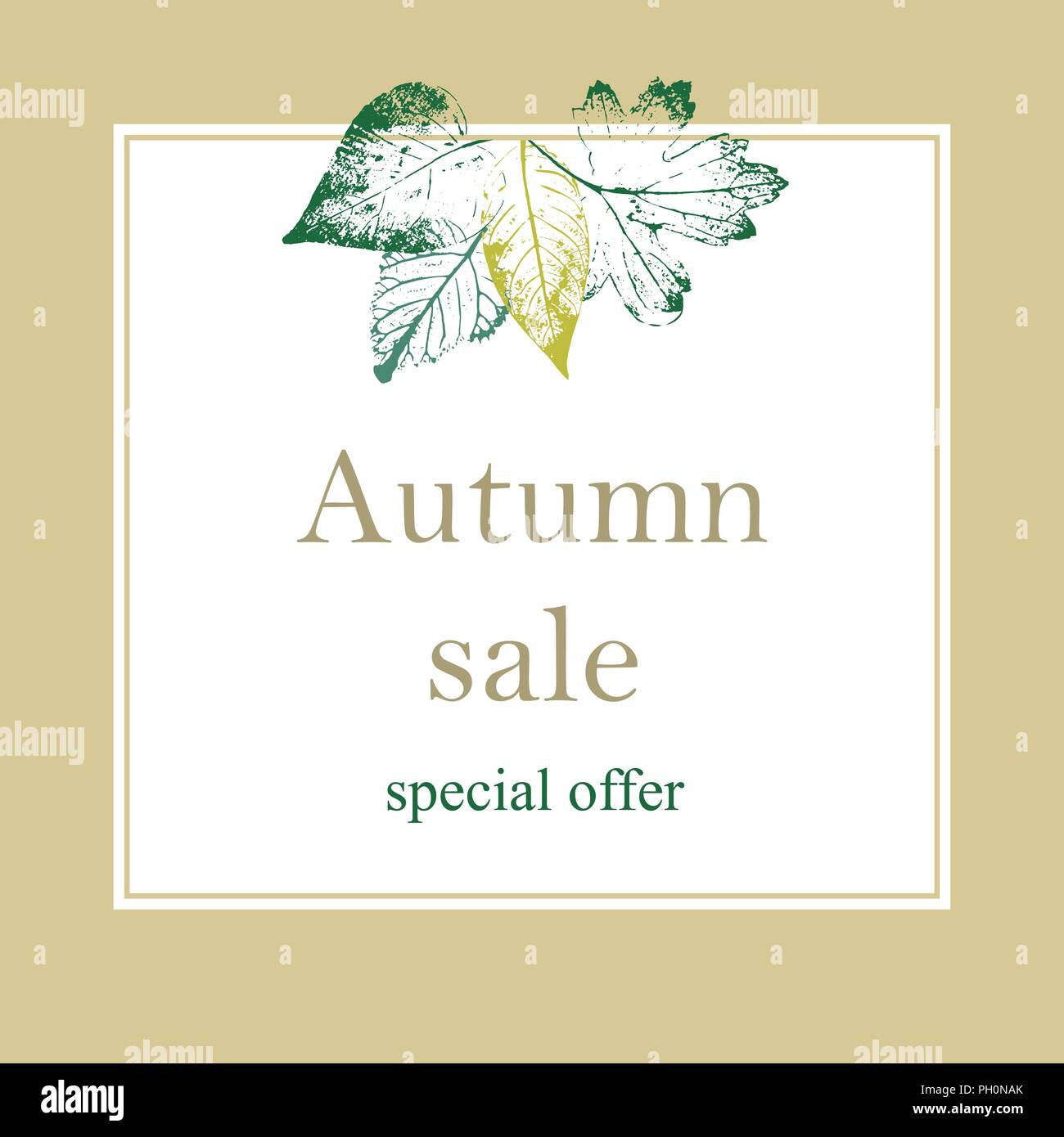 Autumn sale background layout decorate with leaves for shopping sale or ...