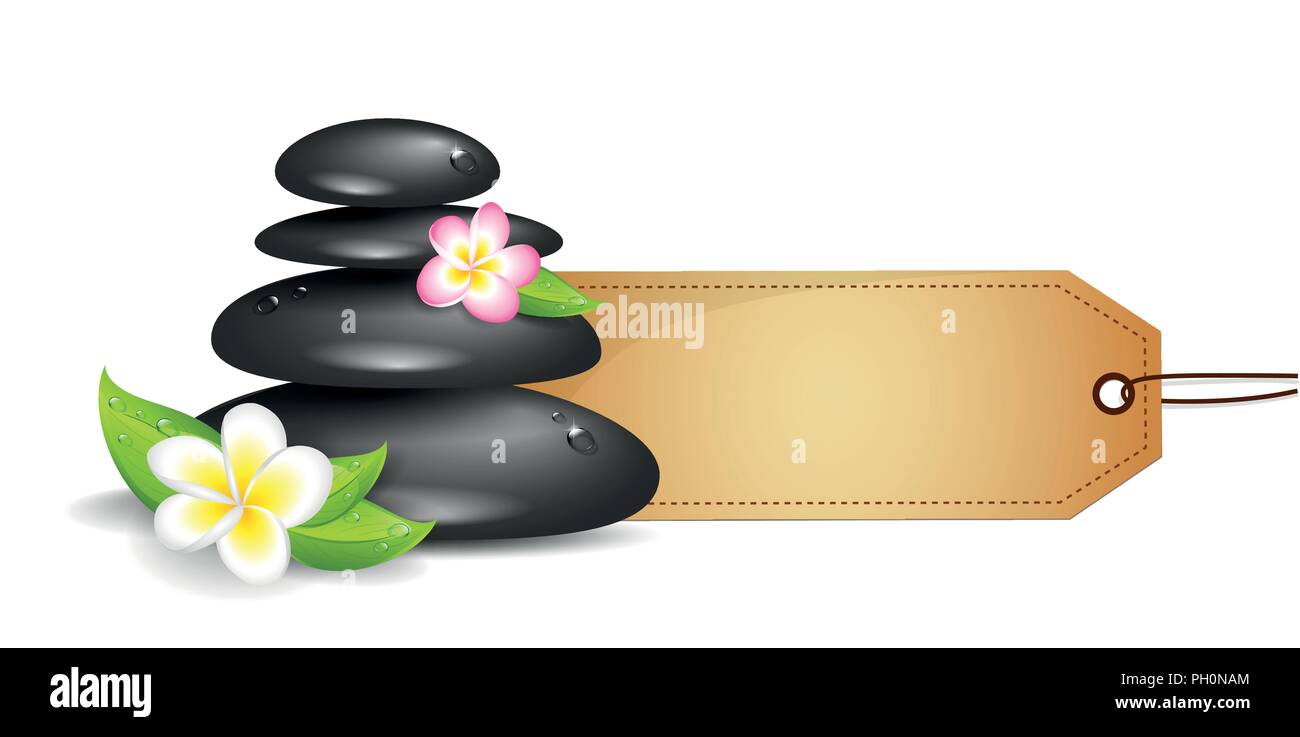 Black stones with white and pink frangipani flowers paper label vector ...