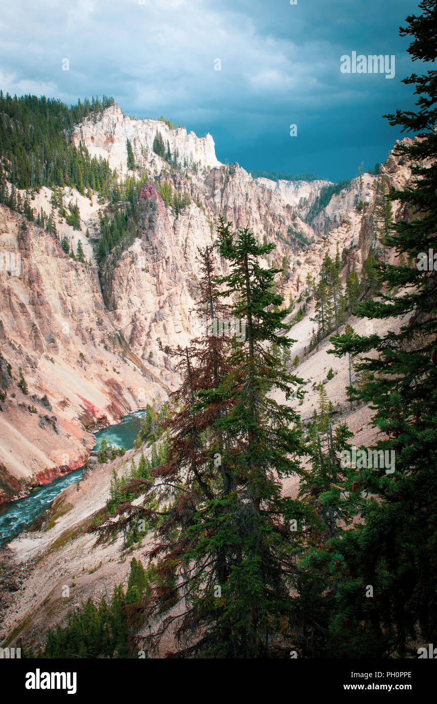 Natures boardwalk hi-res stock photography and images - Alamy