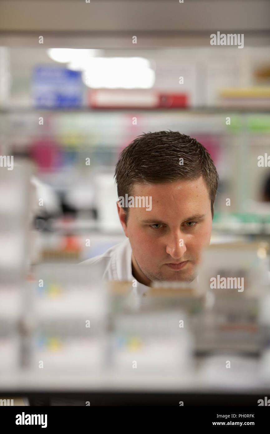 Medical Technicians at work in Laboratory Stock Photo - Alamy