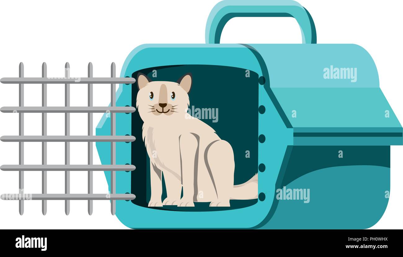 cute cat and transport box over white background, vector illustration ...