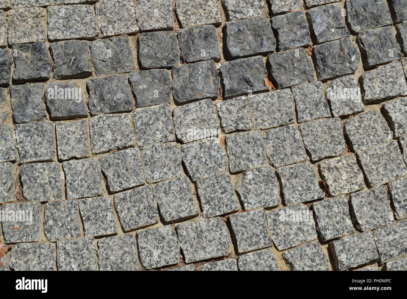 Background square gray granite stones lined the path on the pavement ...