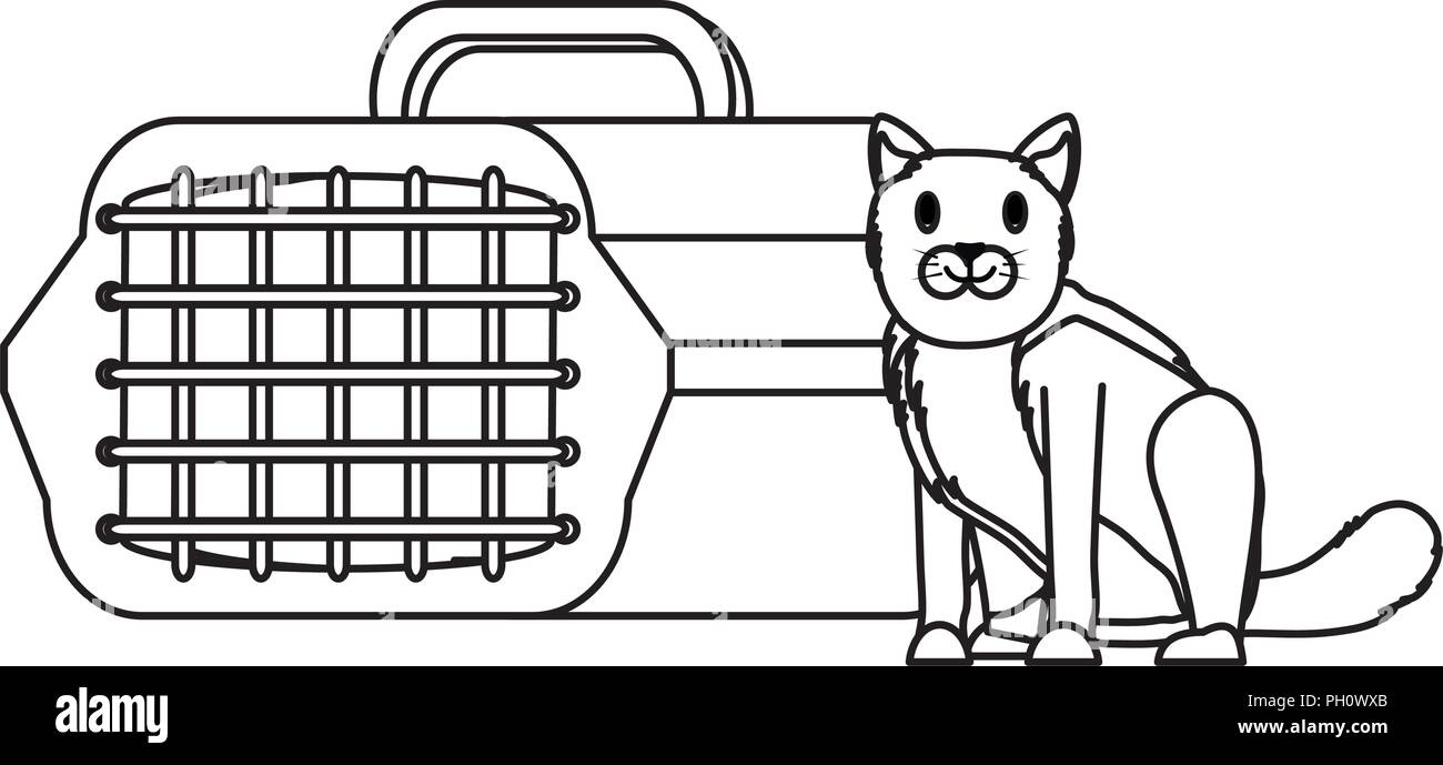 cute cat and transport box over white background, vector illustration ...