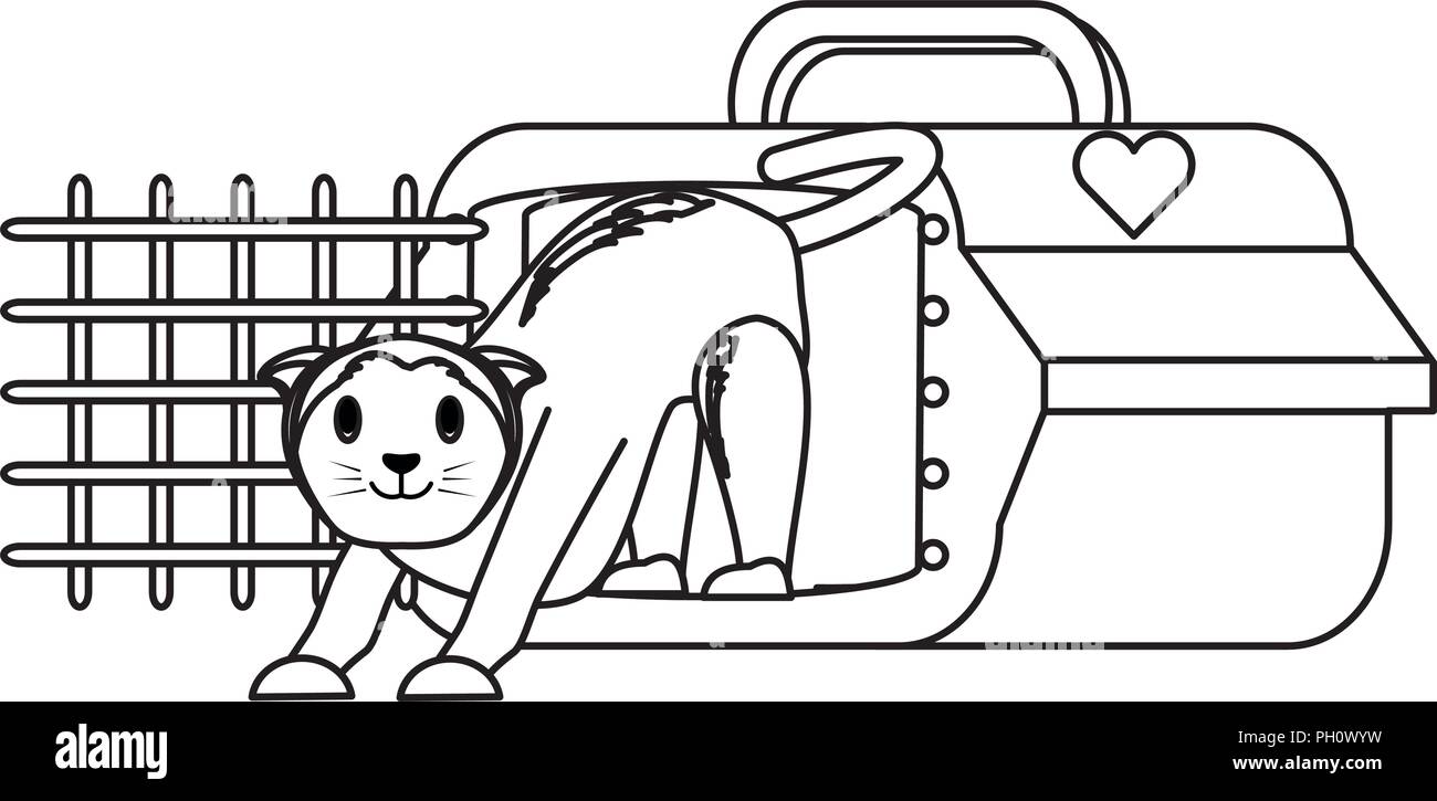 cute cat and transport box over white background, vector illustration ...