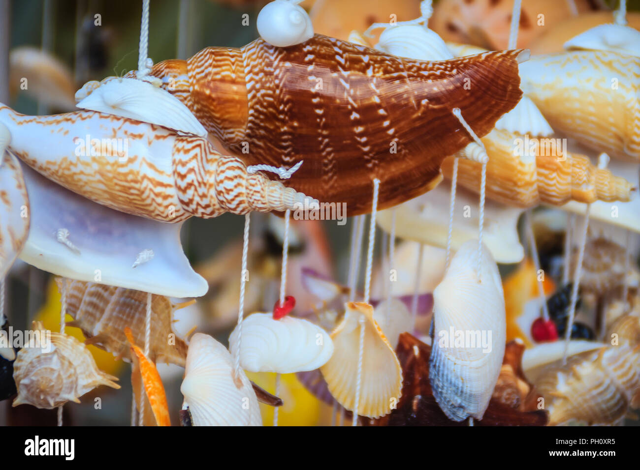 Beautiful seashell mobile hanging in the shop for sale. Handicrafts ...