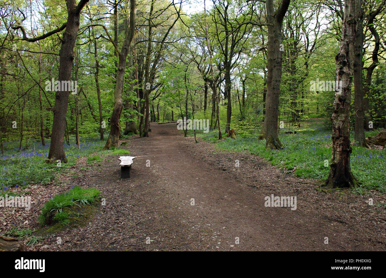 Sheffield Pollution High Resolution Stock Photography and Images - Alamy
