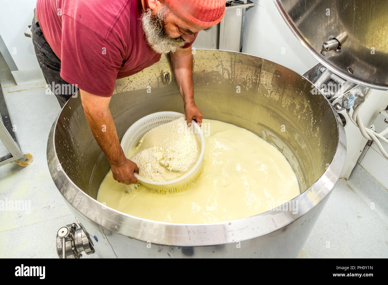 making pecorino cheese, .Abruzzo, italy Stock Photo - Alamy