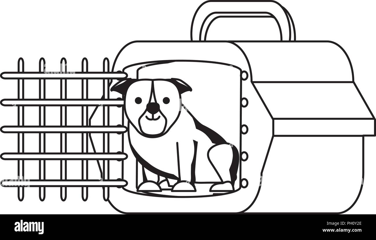 transport box with cute bulldog dog over white background, vector ...