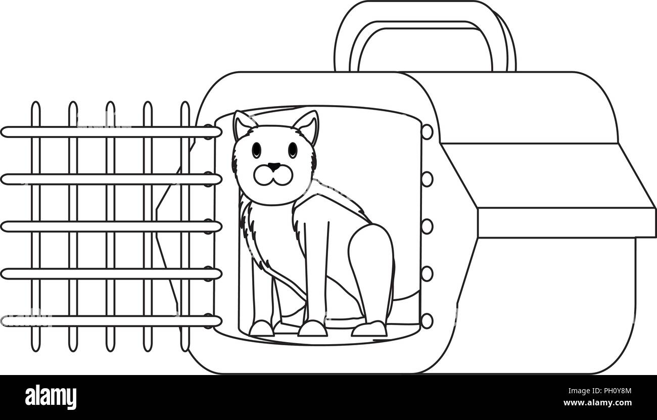 cute cat and transport box over white background, vector illustration ...