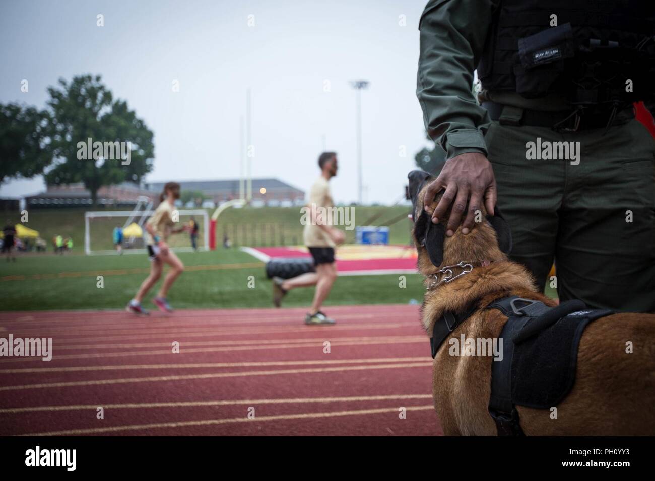 Usmc mud run hi-res stock photography and images - Alamy