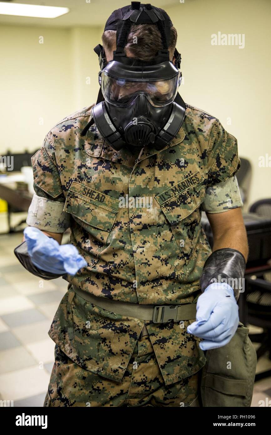 U.S. Marine Corps PFC. Brian Shead, a chemical, biological ...
