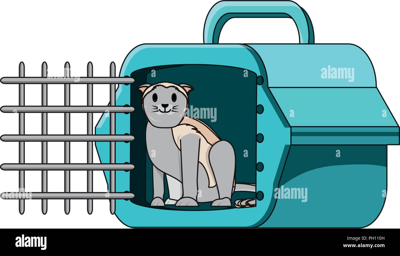 cute cat and transport box over white background, vector illustration ...