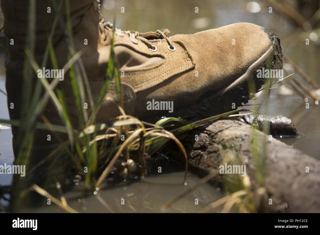 U.S. Marine Corps Rct. Ticlar Ireland-Chapman, with Platoon 1054, Alpha ...