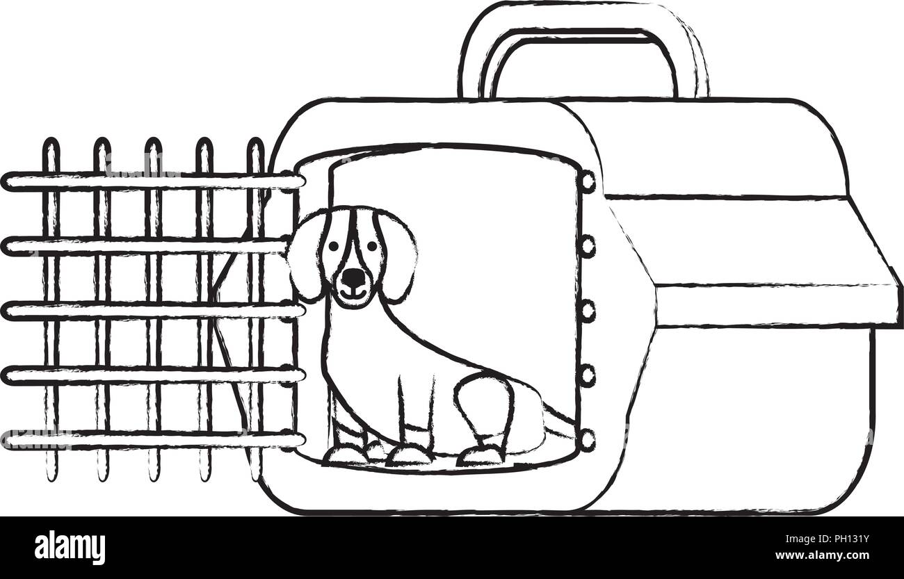 transport box with cute dachshund dog over white background, vector ...
