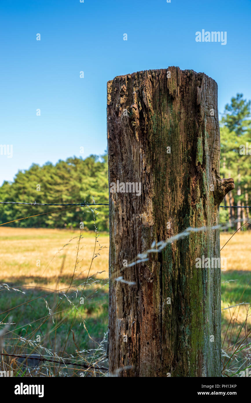 Weathered old wooden fence post with barbed wire hi-res stock ...