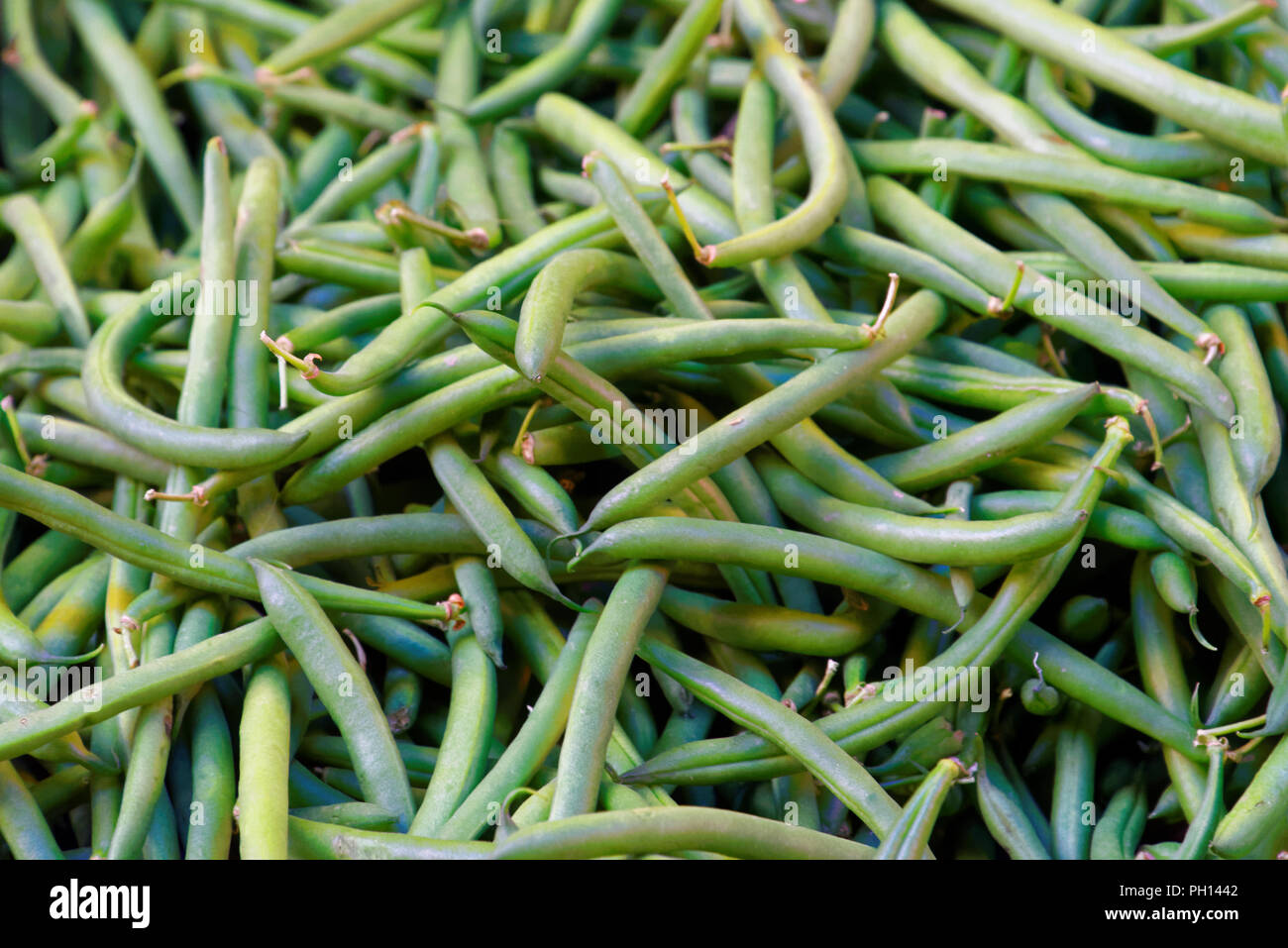 Haricot vert hi-res stock photography and images - Alamy