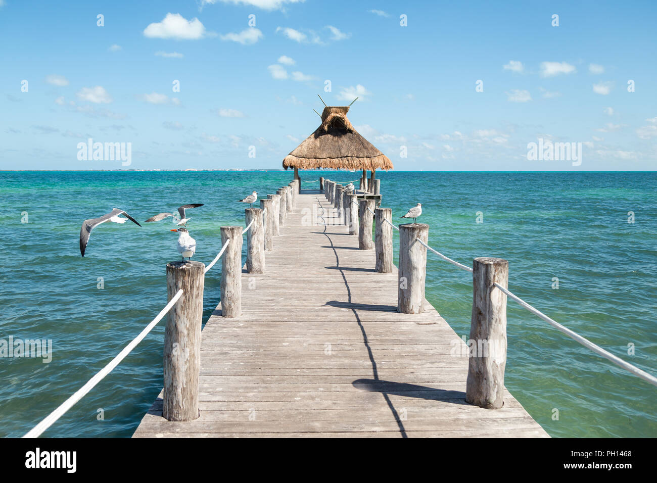 Flying from pier hi-res stock photography and images - Alamy