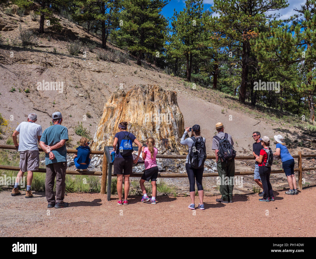 Petrified forest loop hi-res stock photography and images - Alamy