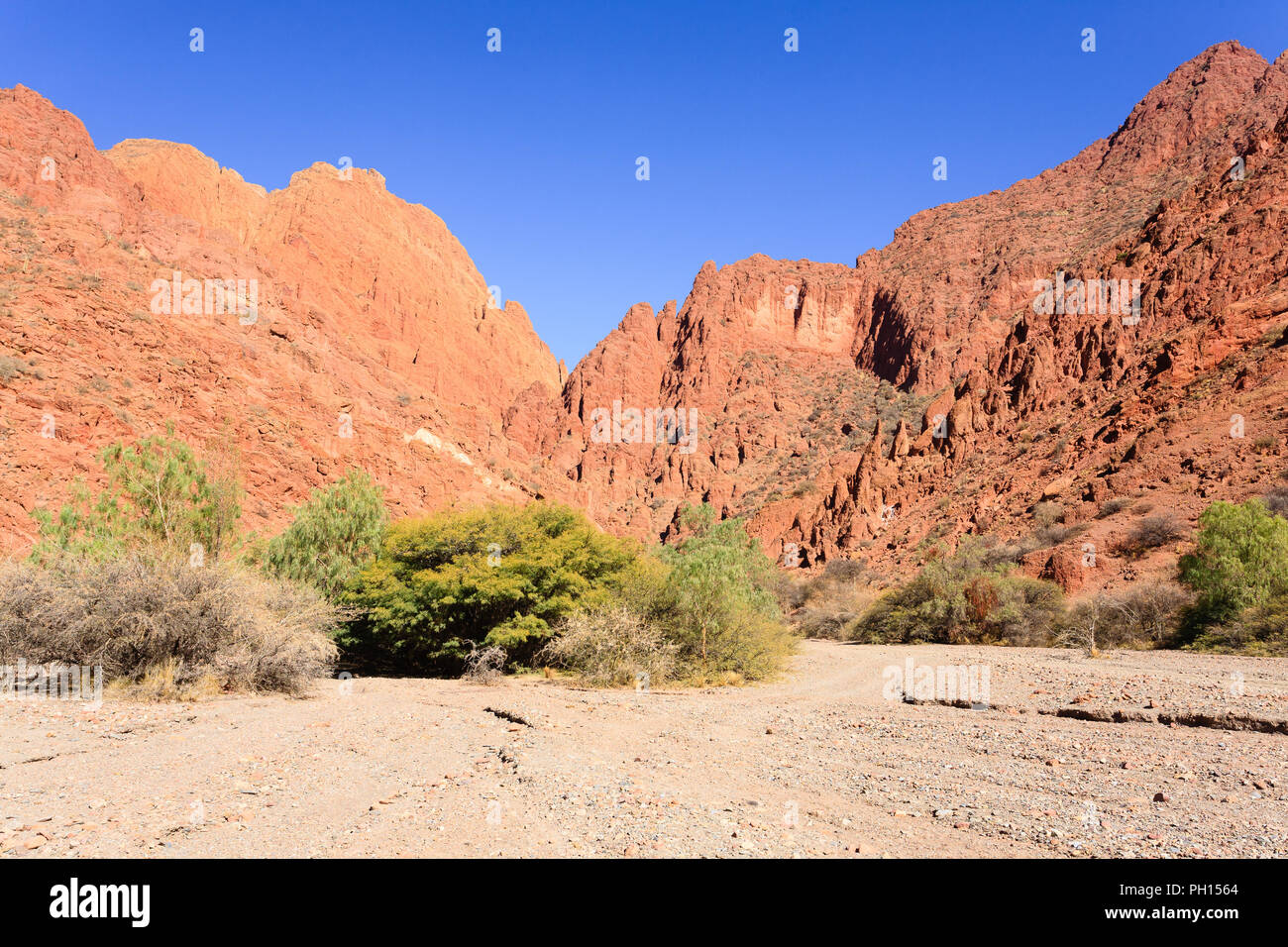 Bolivian canyon near Tupiza,Bolivia.Quebrada de Palmira,Canyon del Inca ...