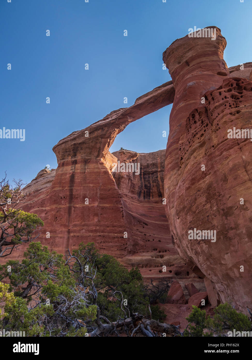 Akiti Arch (aka East Rim or Centennial Arch) in Rattlesnake Canyon ...