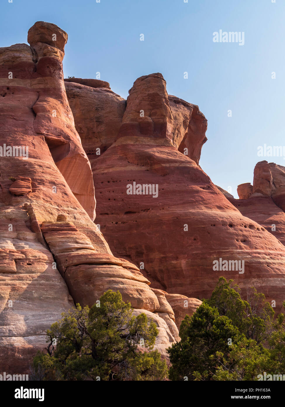 Walls of Rattlesnake Canyon, Black Ridge Wilderness Area, McInnis ...