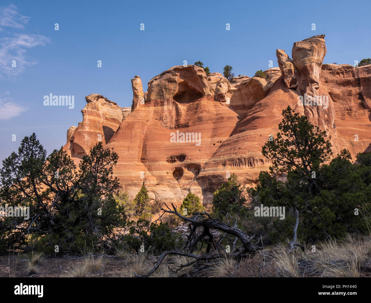 Walls of Rattlesnake Canyon, Black Ridge Wilderness Area, McInnis ...