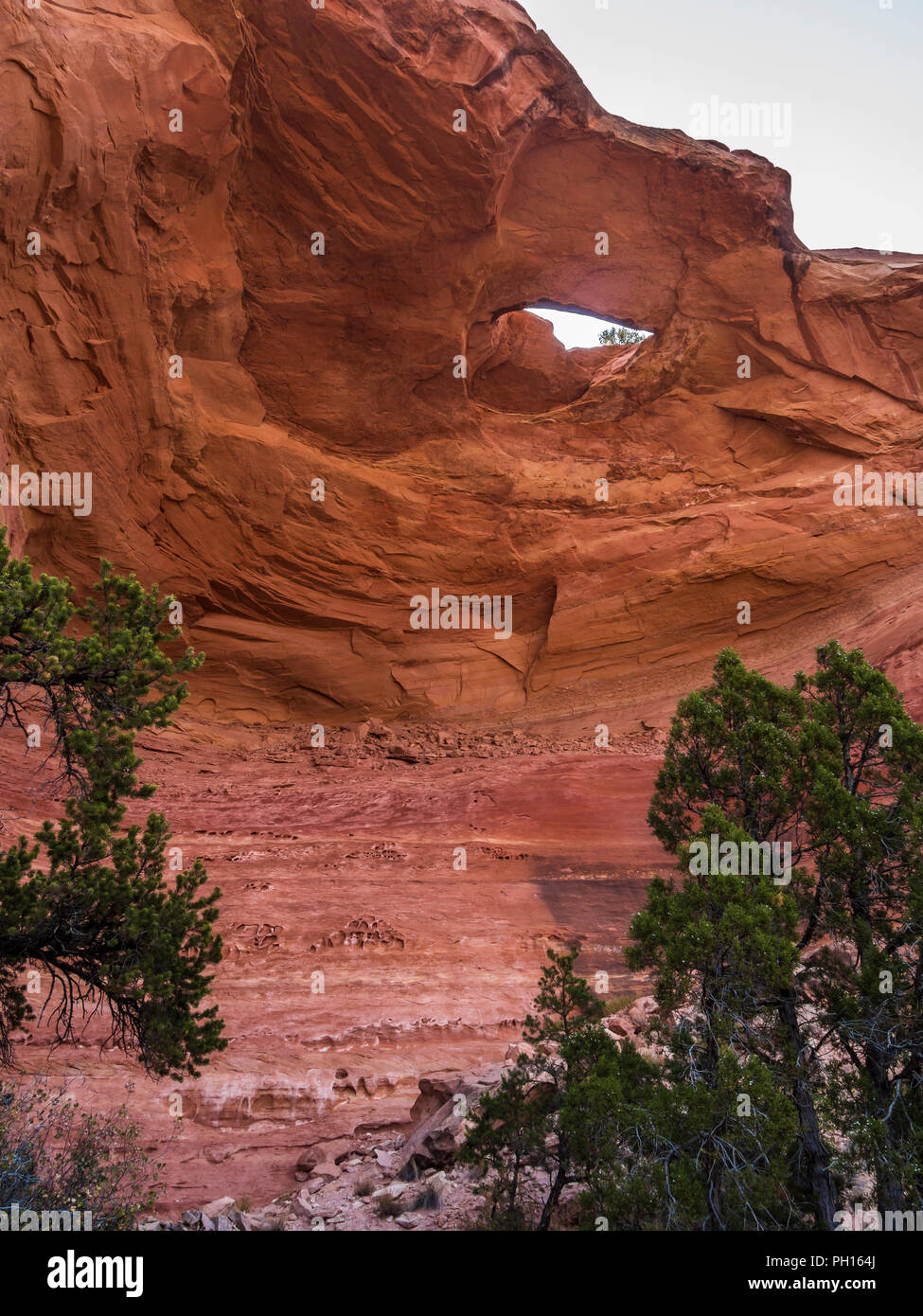 Overhanging Arch, Rattlesnake Canyon, Black Ridge Wilderness Area ...