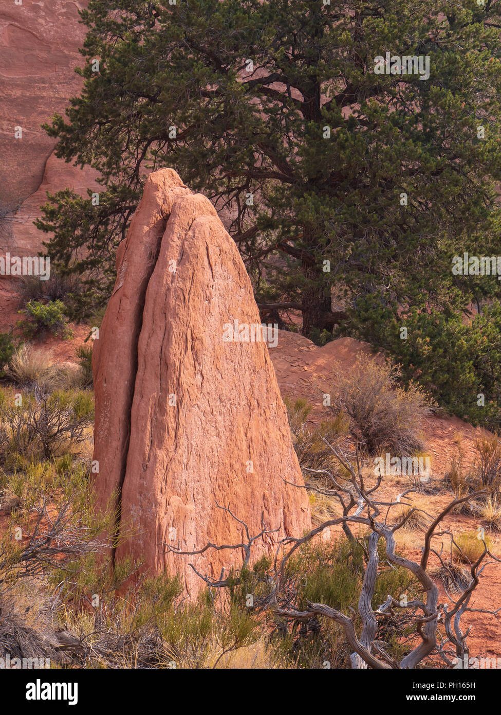 Sandstone slab hi-res stock photography and images - Alamy