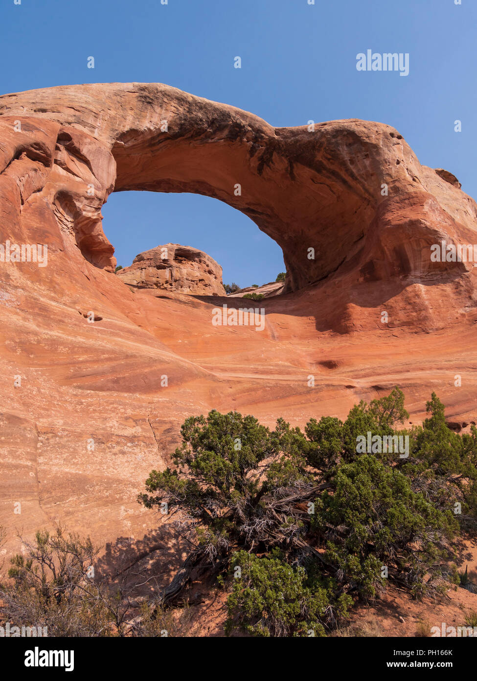 Rainbow Arch (aka Cedar Tree Arch), Rattlesnake Canyon, Black Ridge ...
