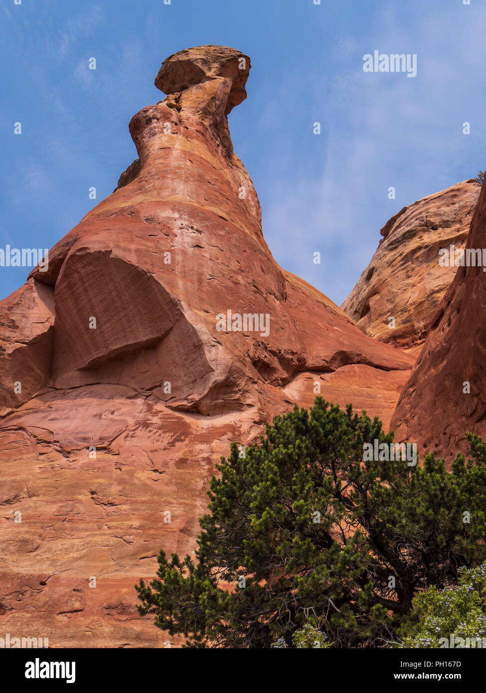 Walls of Rattlesnake Canyon, Black Ridge Wilderness Area, McInnis ...
