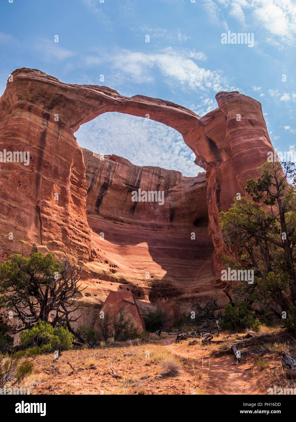 Akiti Arch (aka East Rim or Centennial Arch) in Rattlesnake Canyon ...