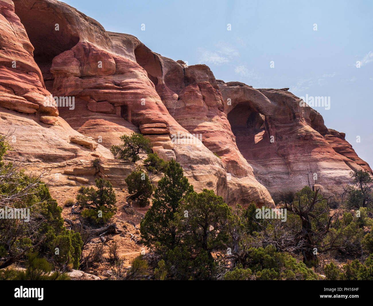 Twin Arch, Rattlesnake Canyon, Black Ridge Wilderness Area, McInnis ...