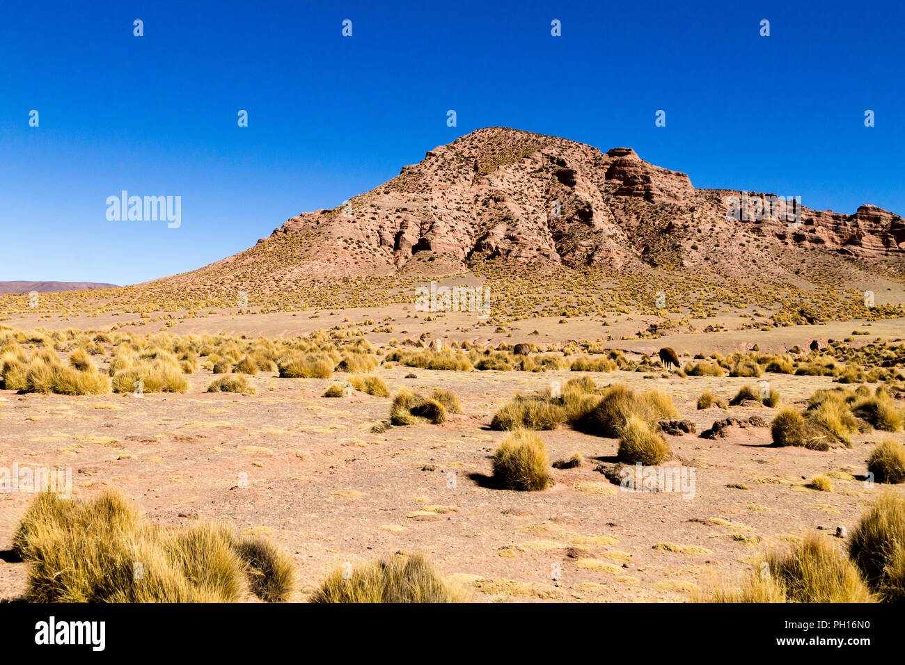 Bolivian mountains landscape,Bolivia.Andean plateau view Stock Photo ...