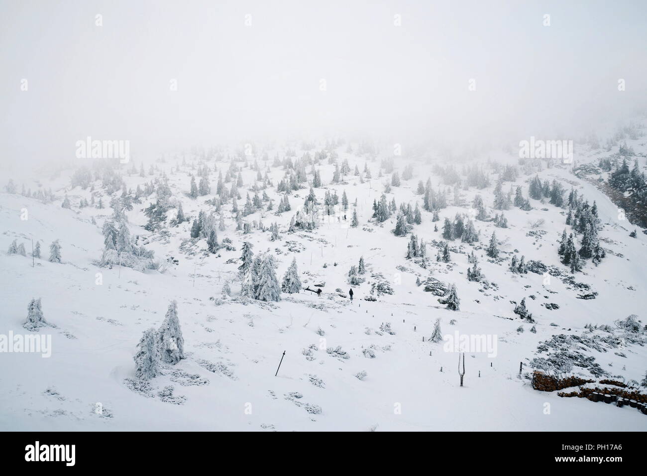 People walk in snowy winter mountains country, Krkonose, freezing ...