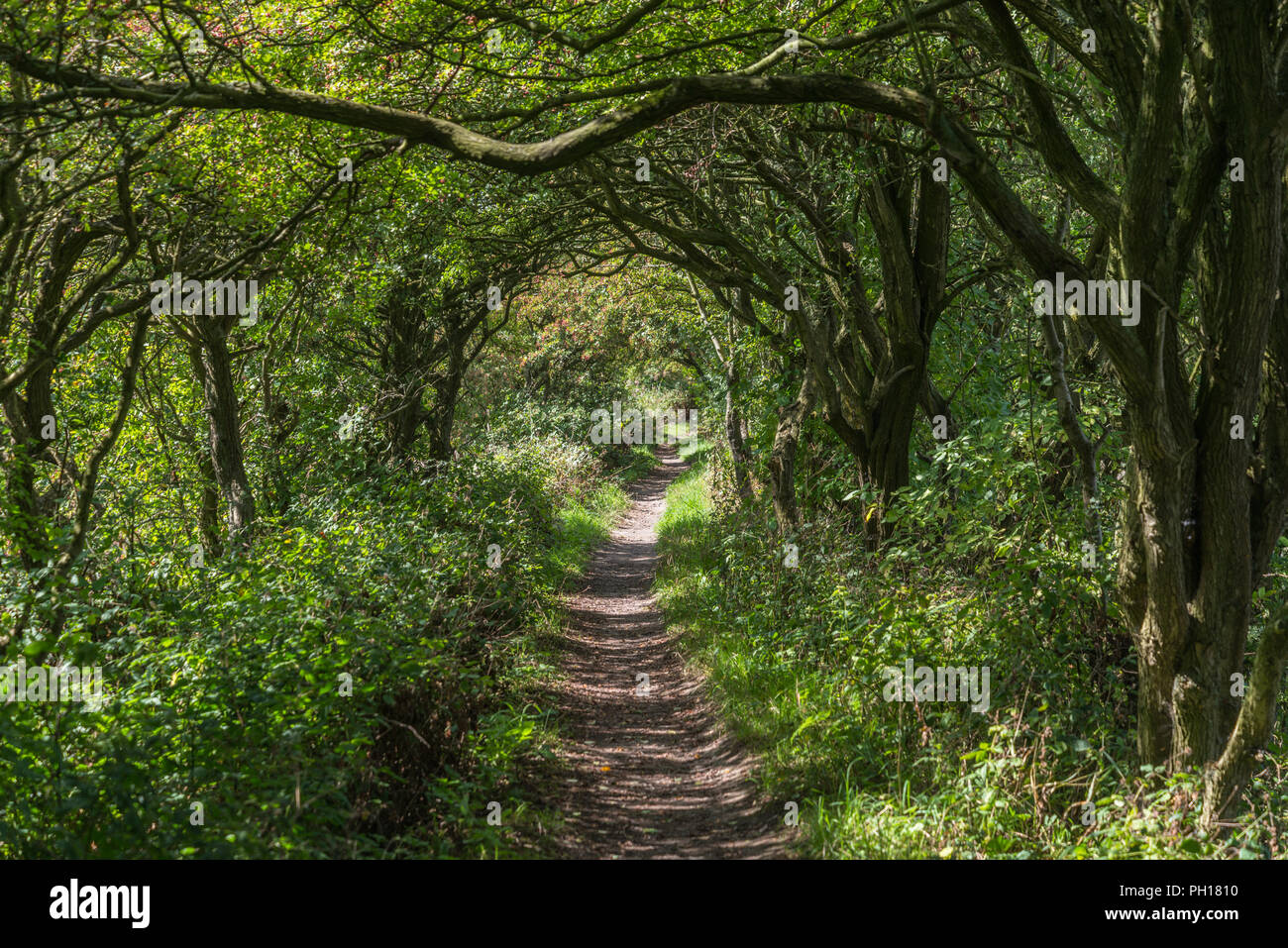 Going for a ramble hi-res stock photography and images - Alamy