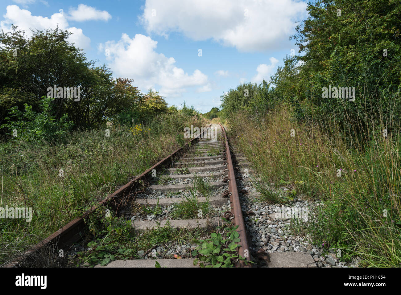 The overgrown, disused branch railway lines near Fleetwood in ...