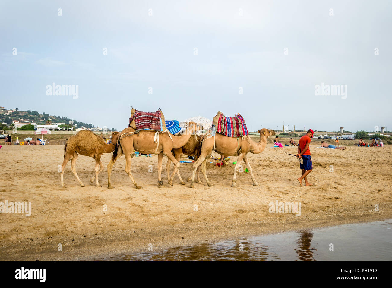 Tangier island harbor hi-res stock photography and images - Alamy