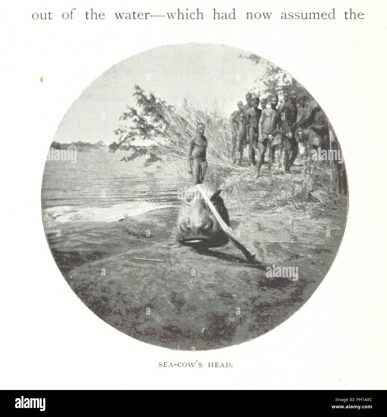 Image from page 100 of 'With Wilson in Matabeleland, or, Sport and War ...