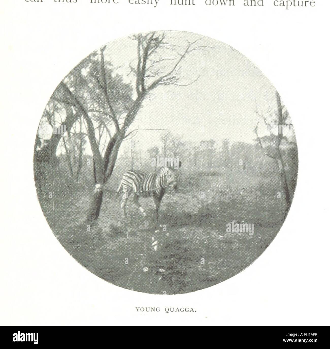 Image from page 111 of 'With Wilson in Matabeleland, or, Sport and War ...