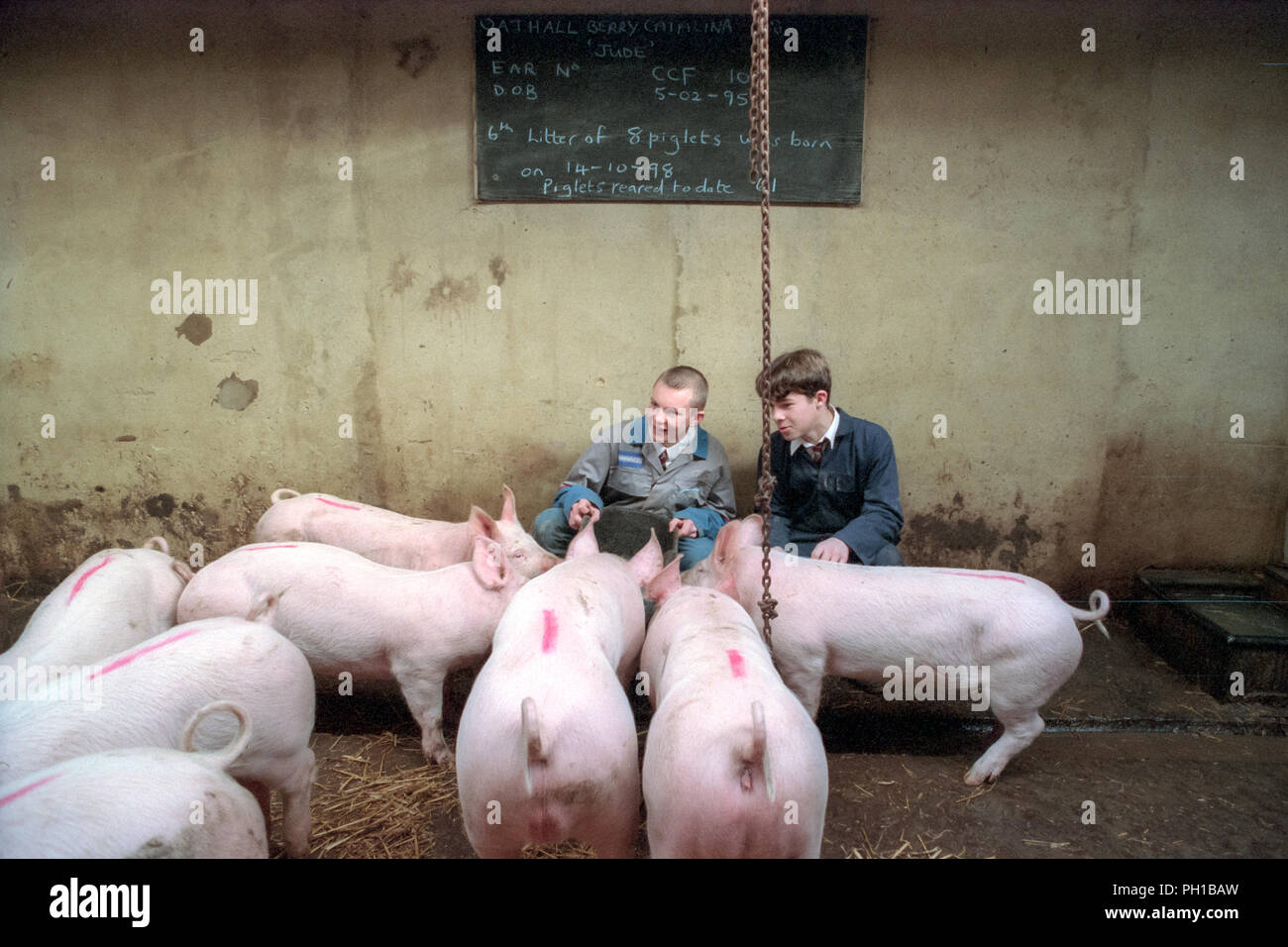 Oathall Community College farm in Haywards Heath Stock Photo - Alamy