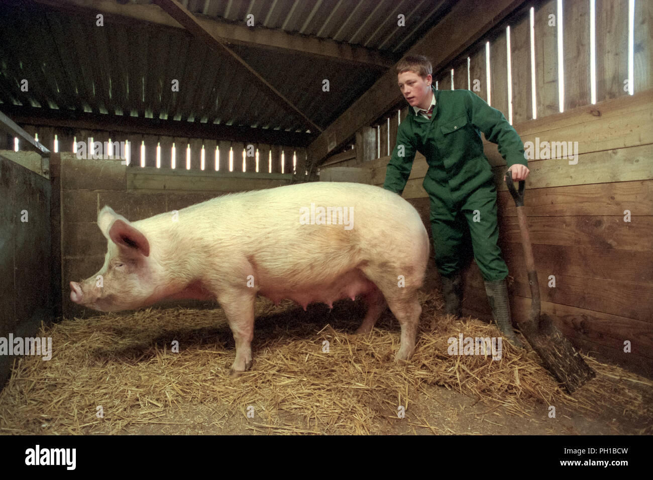 Oathall community college hi-res stock photography and images - Alamy