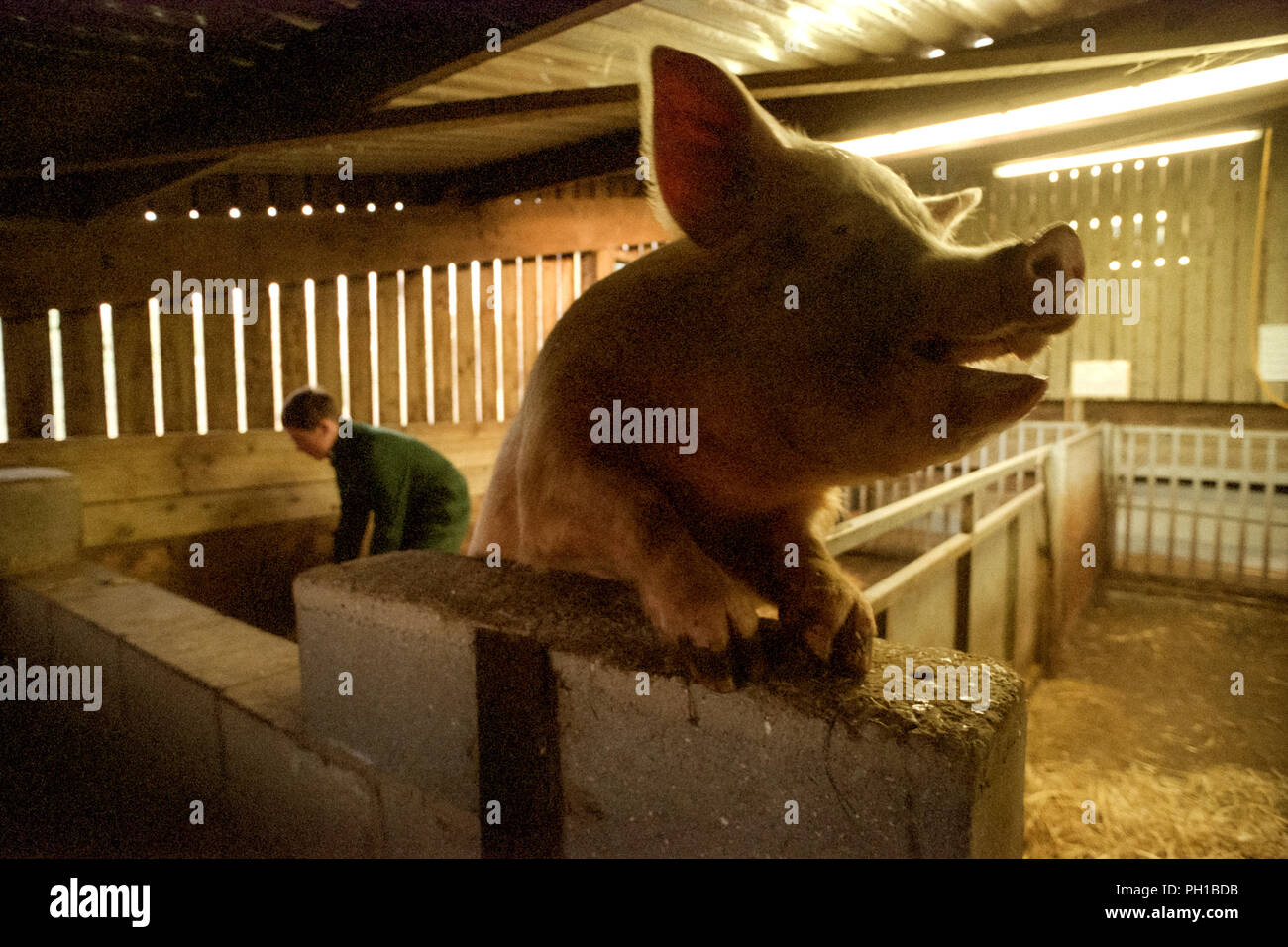 Oathall community college hi-res stock photography and images - Alamy