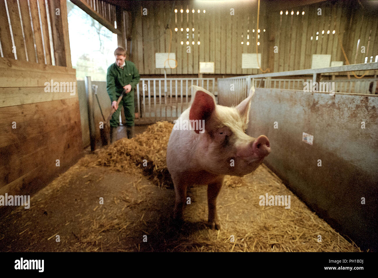 Oathall Community College farm in Haywards Heath Stock Photo - Alamy
