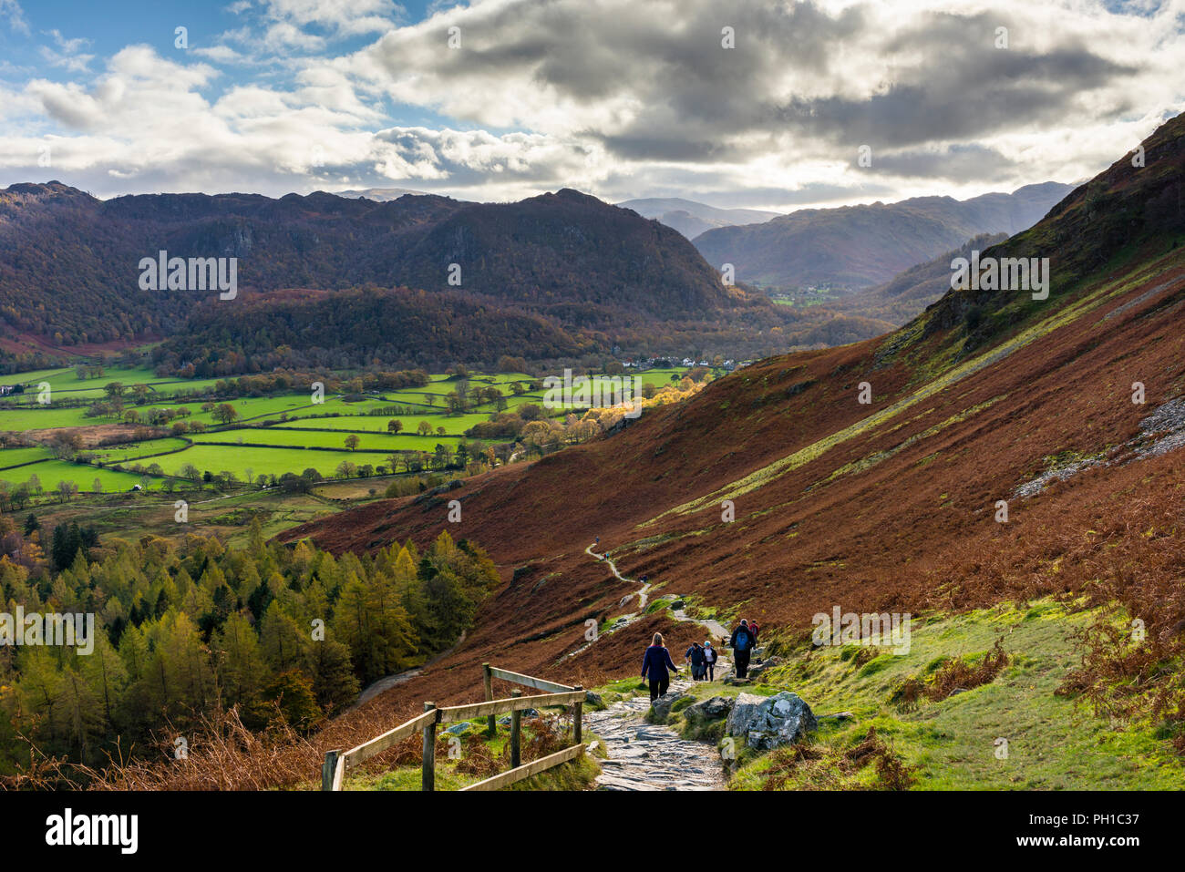 The footpath to Catbells overlooking the Borrowdale Valley and Grange ...
