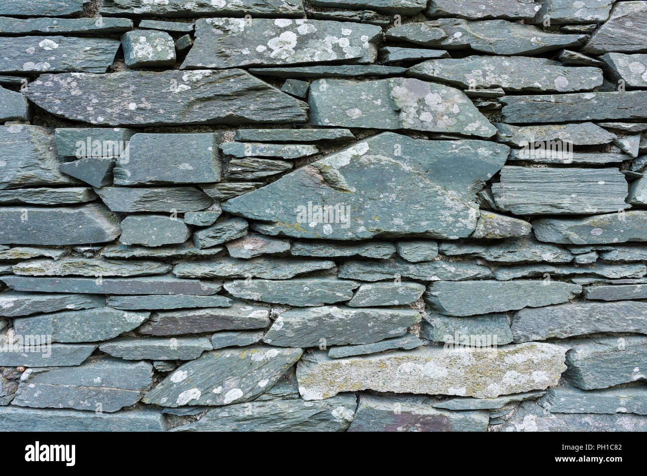 Slate Stone's Instagram, Twitter & Facebook on IDCrawl