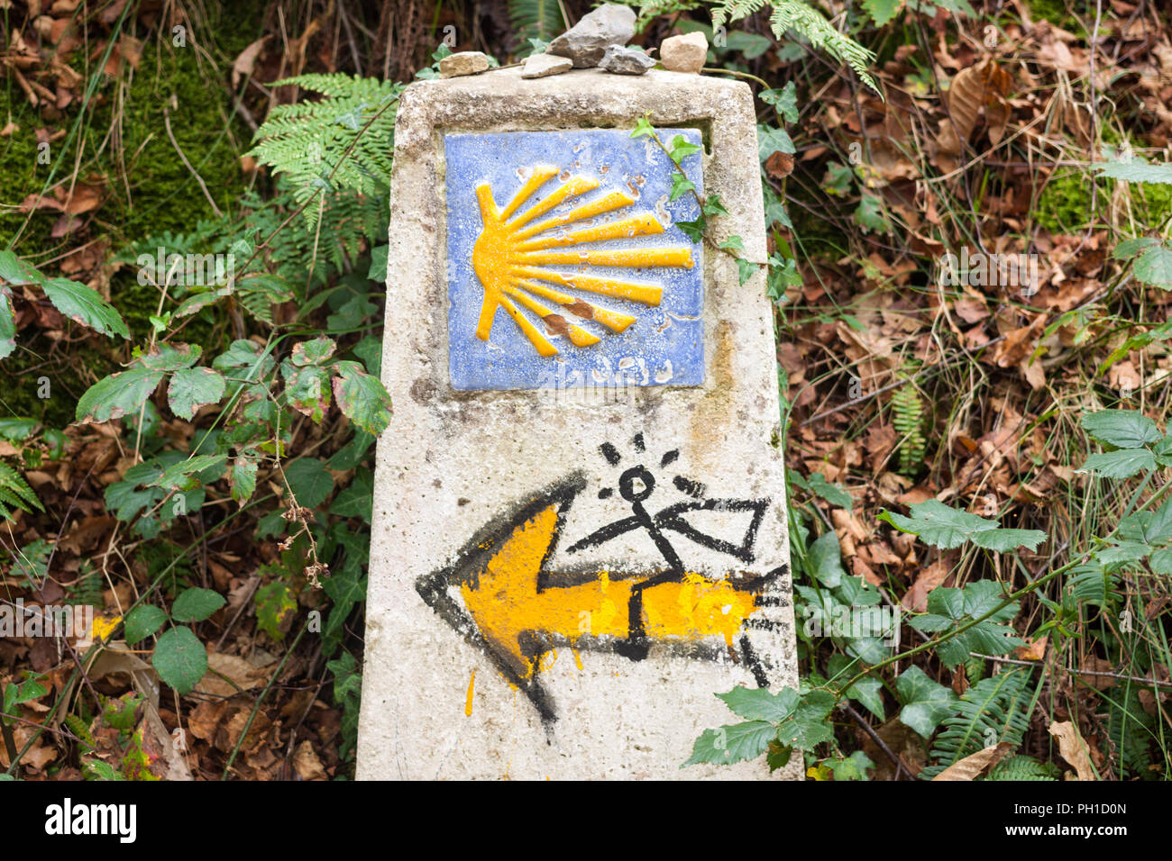 Symbol of the Way of Saint James, or Camino de Santiago, with a yellow ...