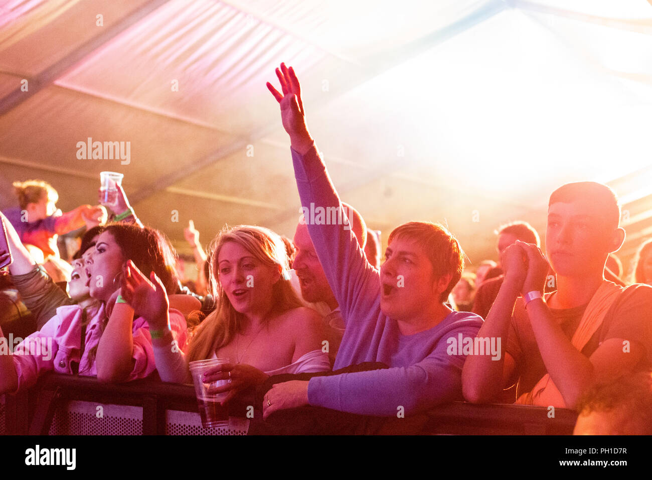 Photographs of Crowds At A Gig Stock Photo - Alamy