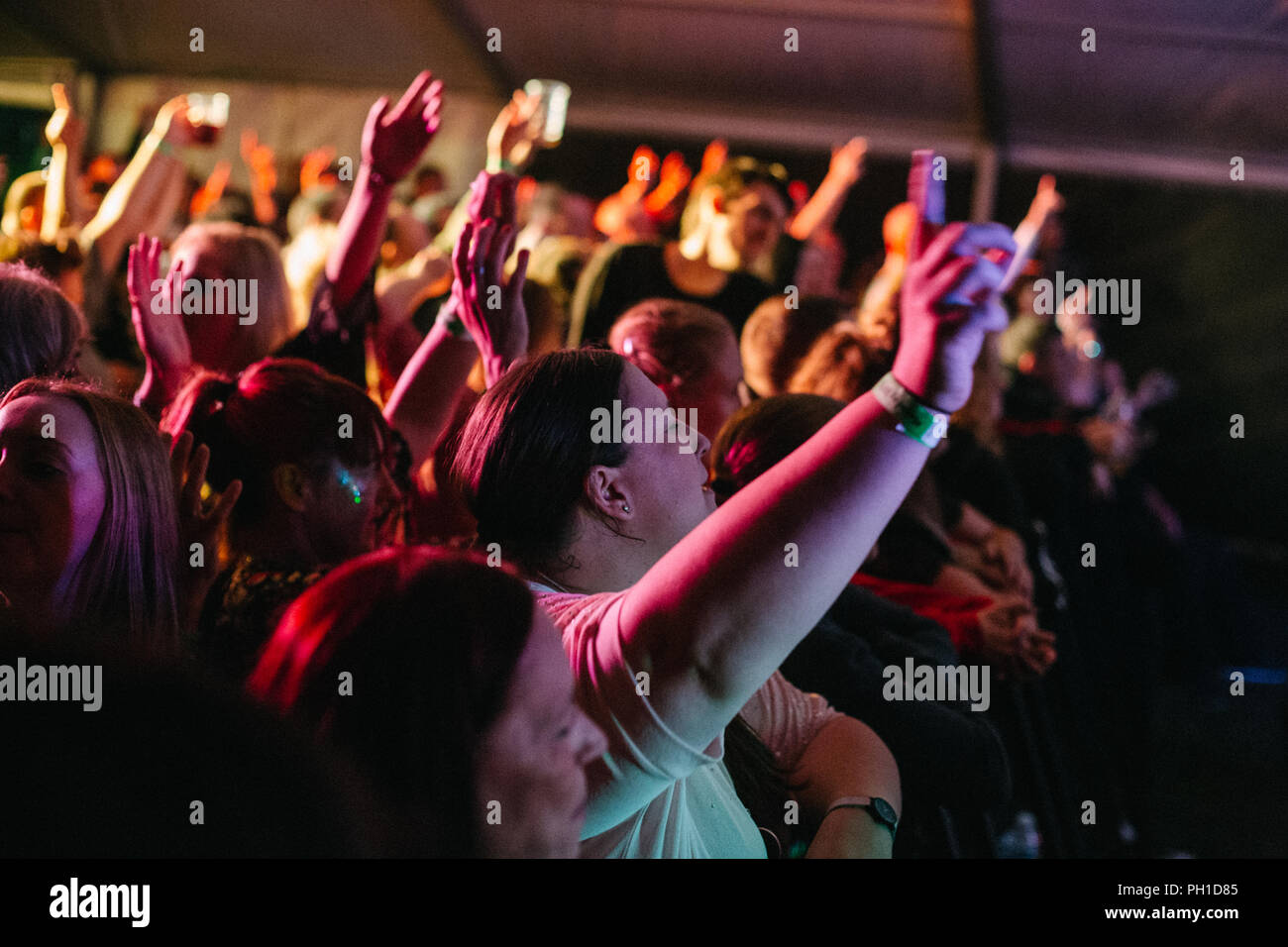Photographs of Crowds At A Gig Stock Photo - Alamy